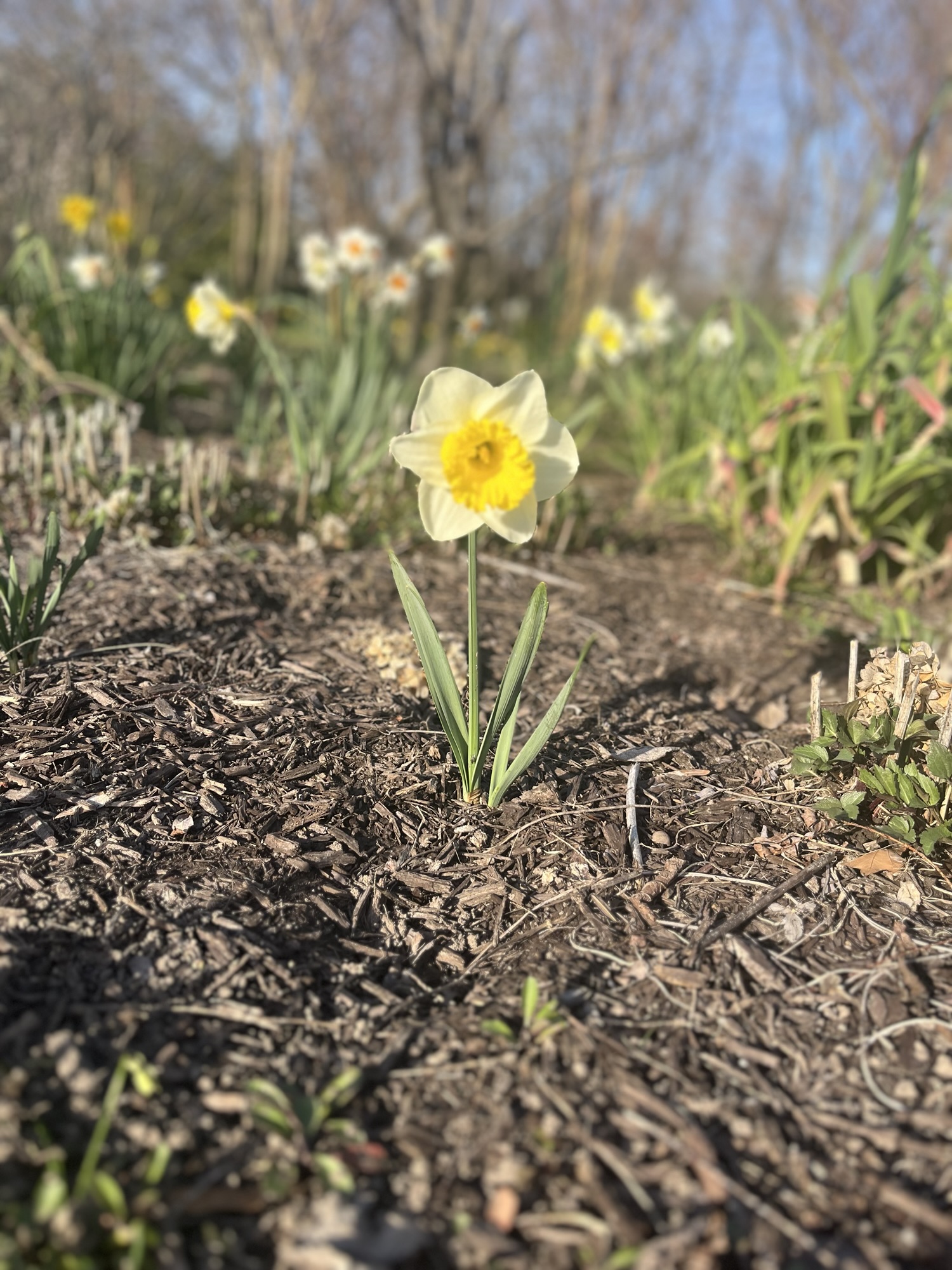 How to be a Good Steward – Raspberry Sisters Blog